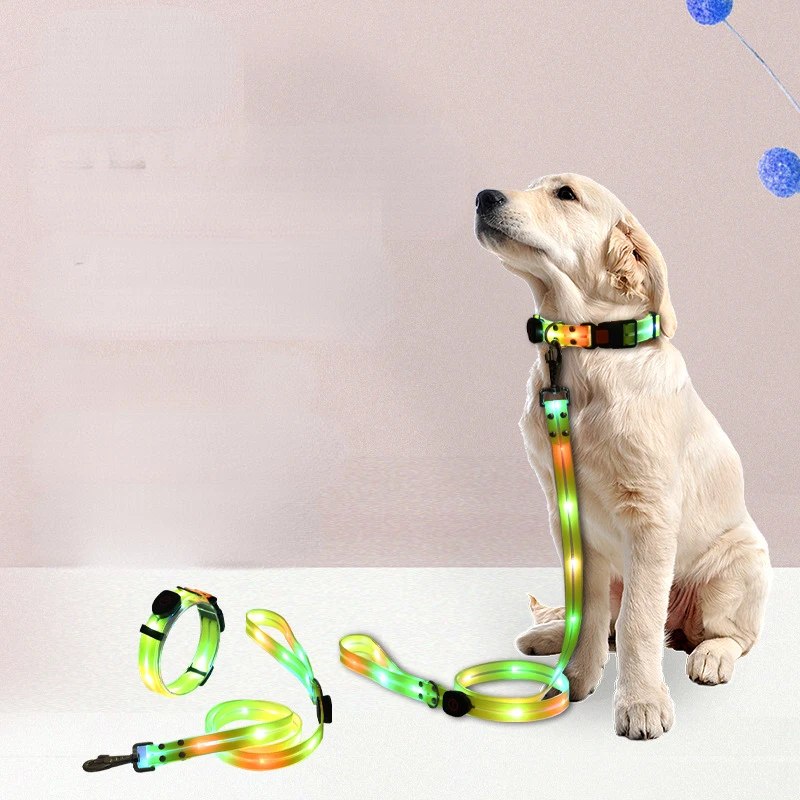 LED-Light-Up-Dog-Leash-and-Collar-Rechargeable-Waterproof-Glow-in-the ...