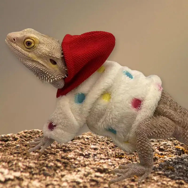 Cute Lizard Pets