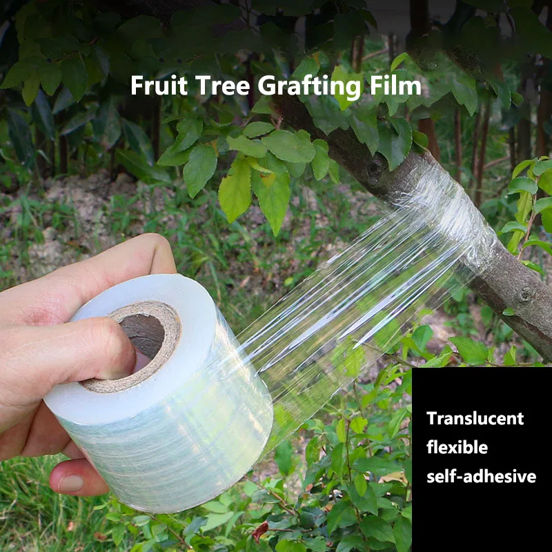 Grafted-Film-Special-Film-Pe-Fruit-Tree-From-Mucous-Membrane-Wrap-Film ...
