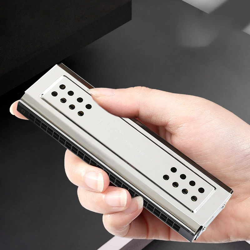 24-Hole-2-In-1-Harmonica-Tremolo-Blues-Mouth-Organ-Double-Side-Master ...
