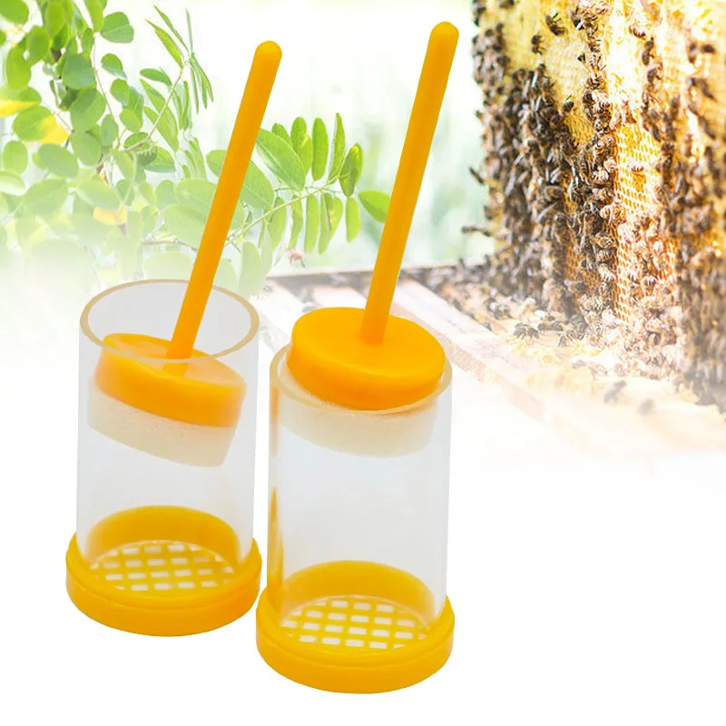 Beekeeping-Queen-King-Bee-Marking-Rearing-Marker-Label-Marker-Yellow ...