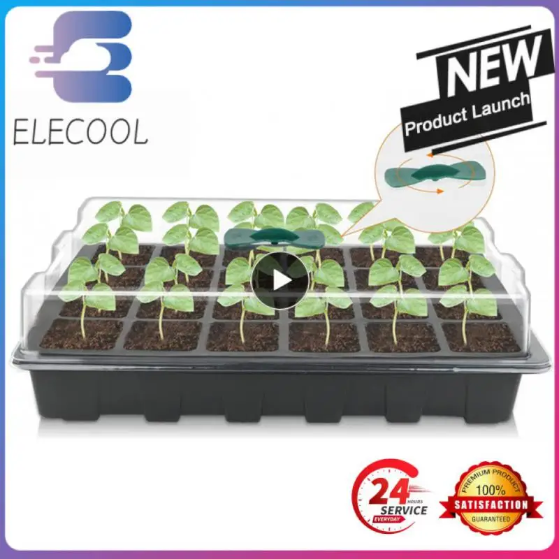Set-24-Holes-Seedling-Tray-Seedling-Box-With-Big-Holes-Gardening-Flower ...