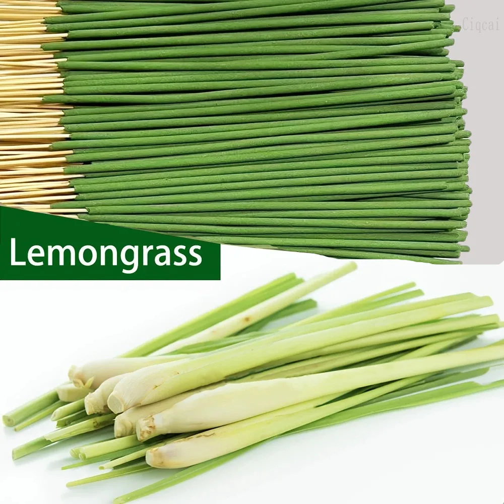Everything You Need to Know About Sticks with Smell