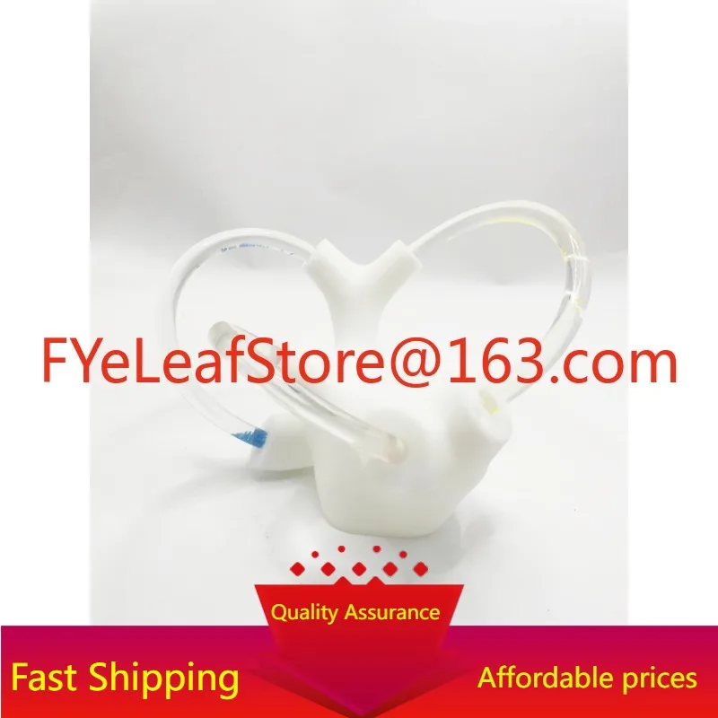 semicircular-canal-otolith-anatomy-model-Skeletal-cochlear-inner-ear ...