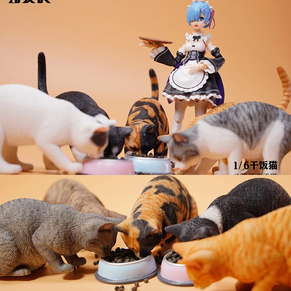 JXK132-1-6-Cats-That-Eat-Cat-Food-Animal-Figure-Realistic-Decoration ...