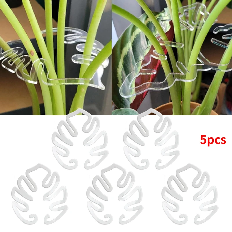 Turtle-Shell-Bamboo-Clamp-Set-Monstera-Grapple-Plant-Unique-Aesthetic ...