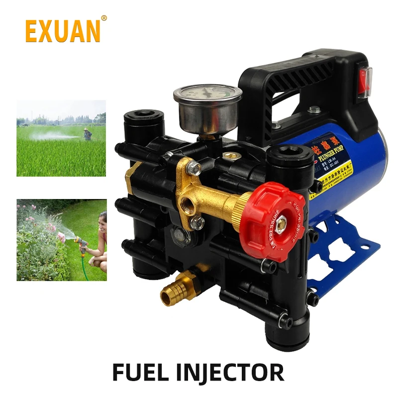 12V-High-Pressure-Agricultural-Electric-Portable-Double-Cylinder ...