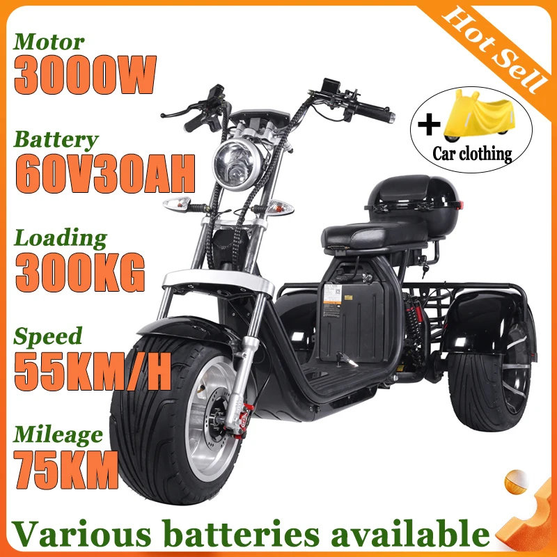 3000W60V30AH Max Load 300KG 12Inch Fat Tire Off-road Electric ...