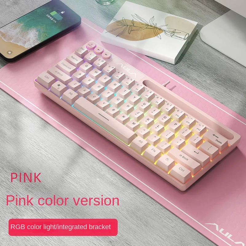 Gamer Keyboard keycaps doubleshot pbt lady Backlit keyboard 60% pink ...
