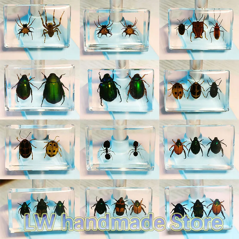 Eco-friendly-Resin-for-Desk-Ornament-Decoration-Delicate-Insect-Beetle ...