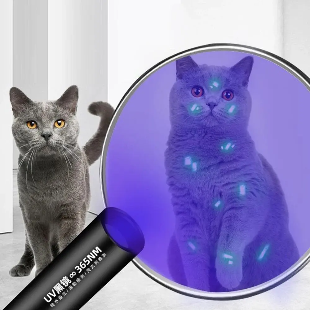 1PC-Cat-Moss-Detection-Light-Black-Mirror-UV-Fluorescent-Light-Pet ...