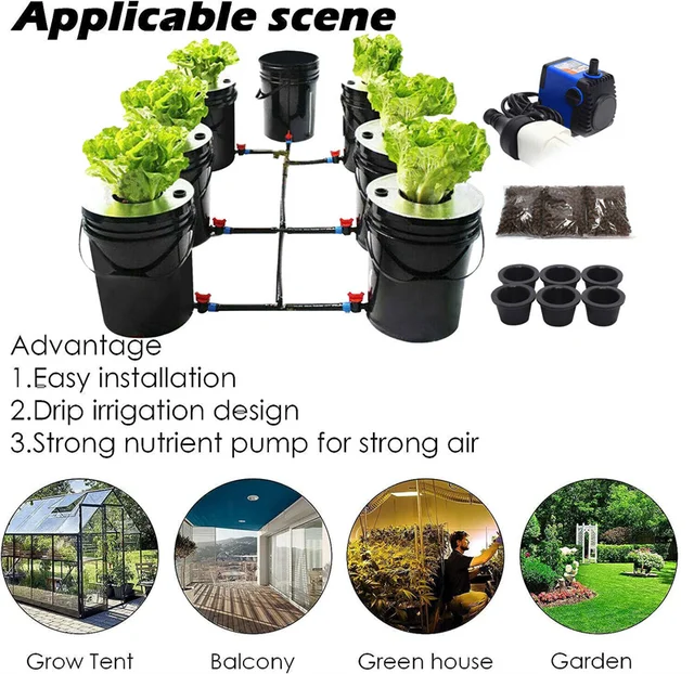 Tent Complete 4 Buckets DWC Hydroponics Growing System With Top Drip ...