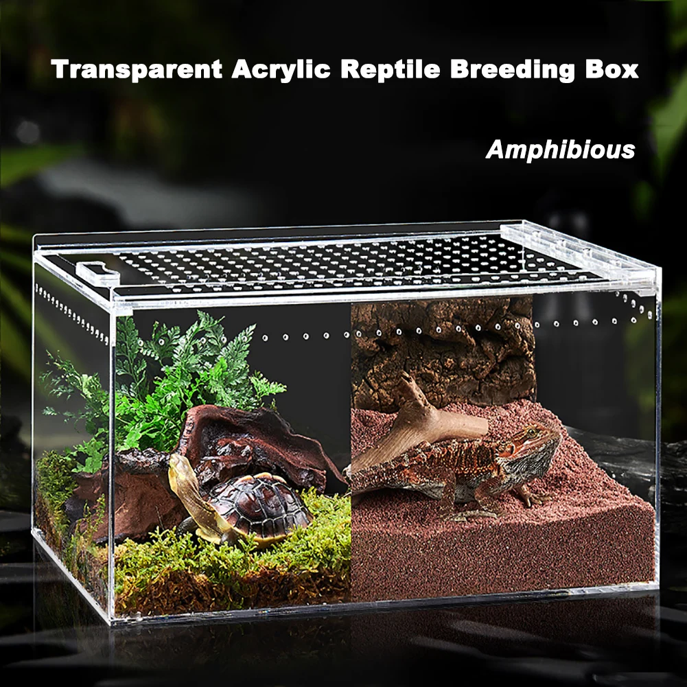Transparent-Habitat-Cage-Reptile-Lizards-Roach-Invertebrates-Insect ...