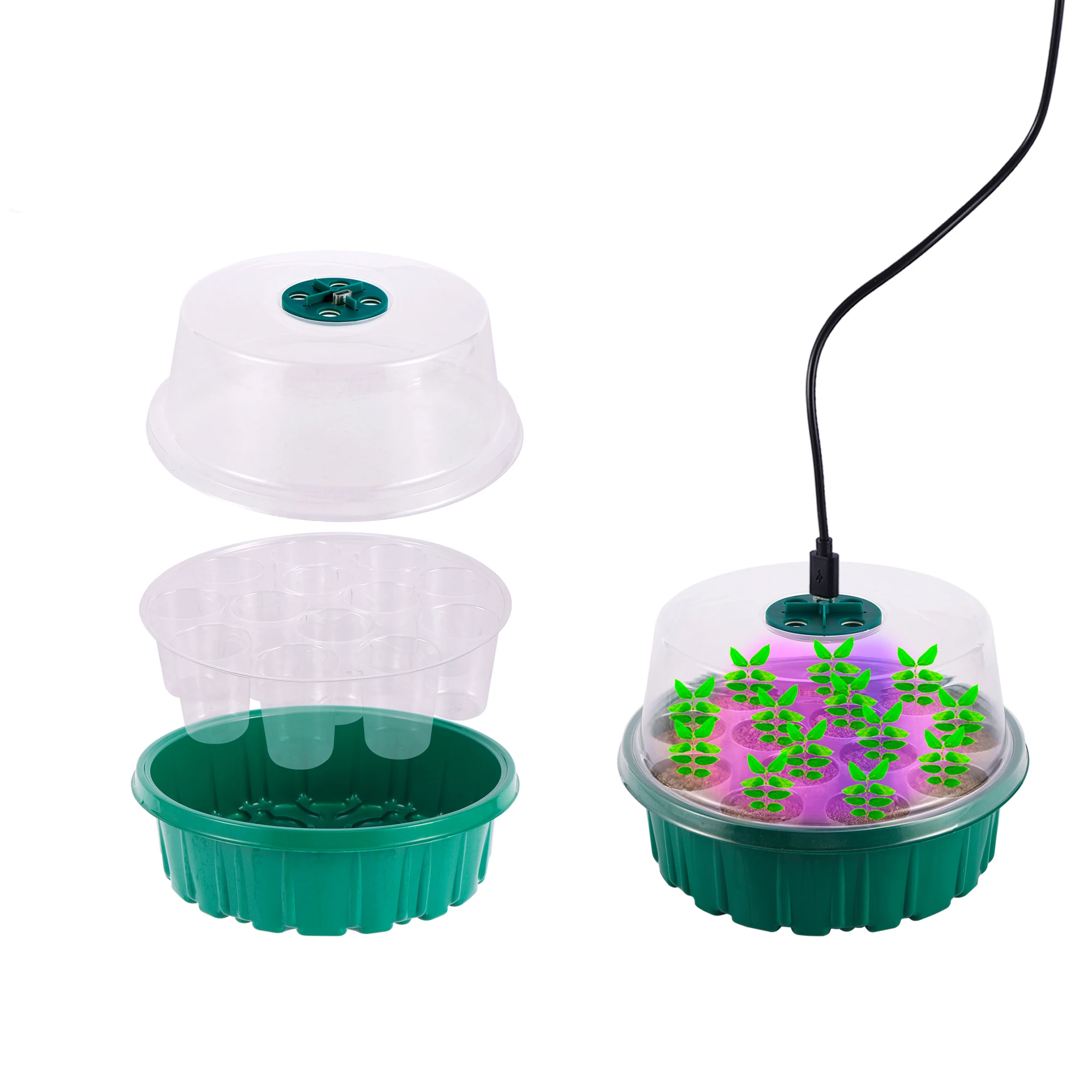 Plants-Growth-Promoting-Light-Full-Spectrum-Sunlike-LED-Light-Seedling ...