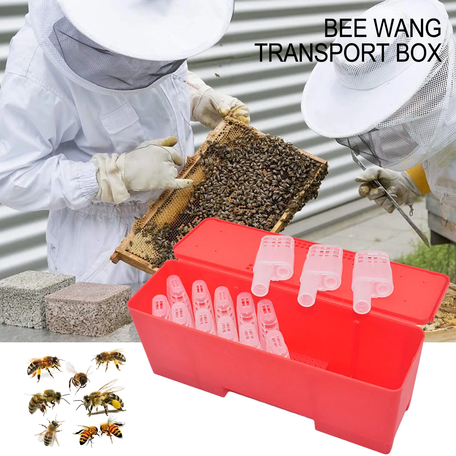 Beekeeping Tools Queen Bee Transport Box With 20 Queen Cages Rearing ...