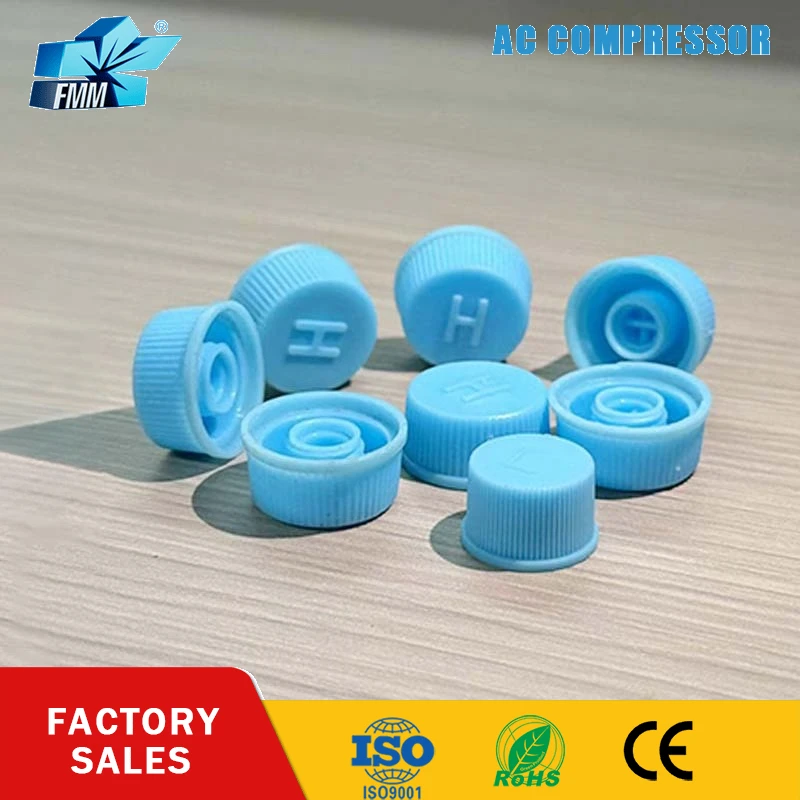 10pieces Car A/C Pressure Valve Cap Side Port Lid Auto Car Air ...