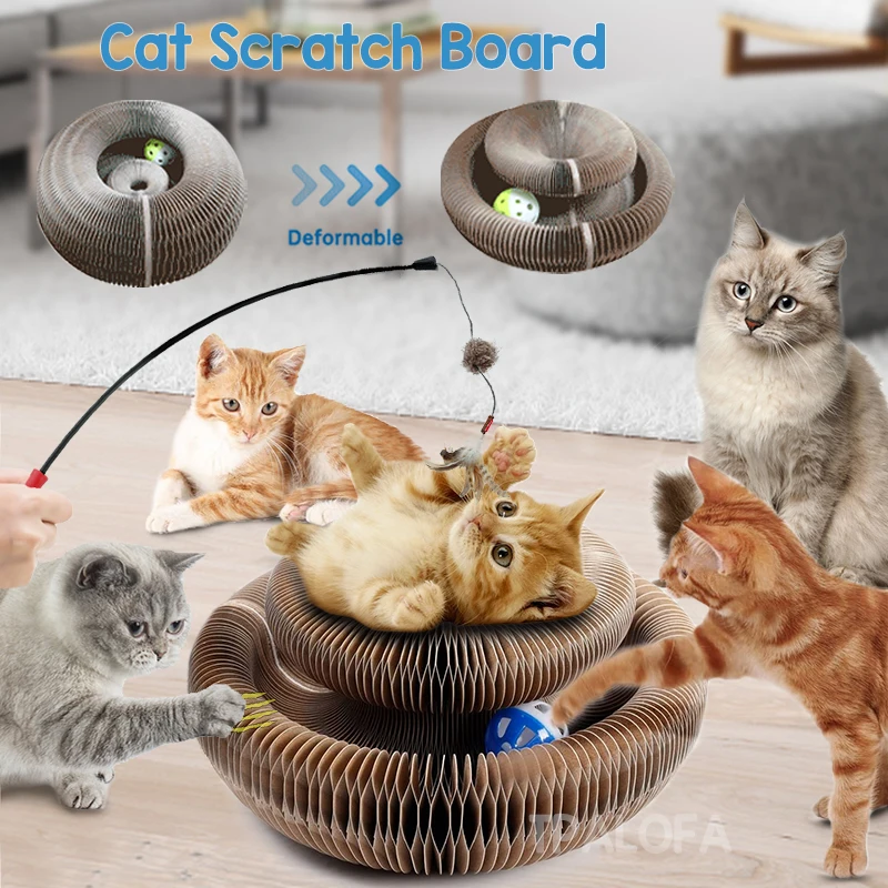 Gato scratch board órgão mágico gato coçar placa gato brinquedos com ...
