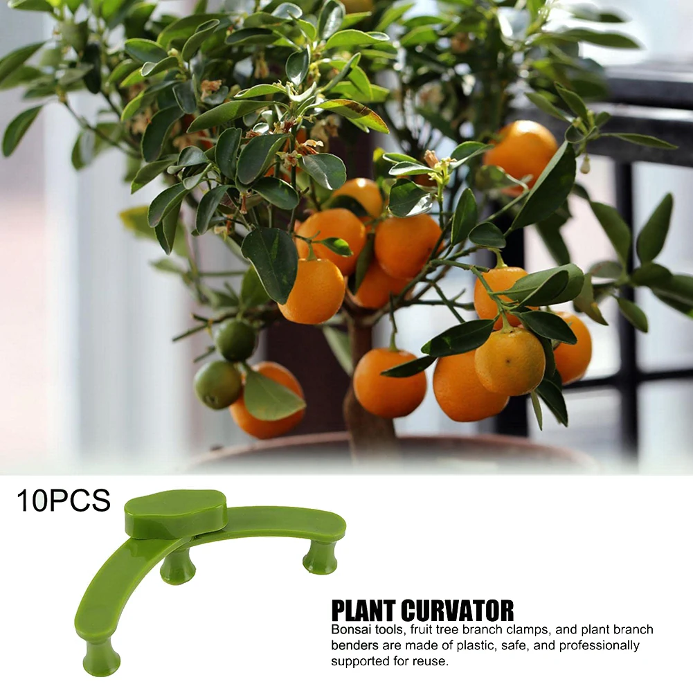 Plant-Bender-Plant-Training-Clips-Vine-Plants-Flowers-Bonsai-Tool-Fruit ...