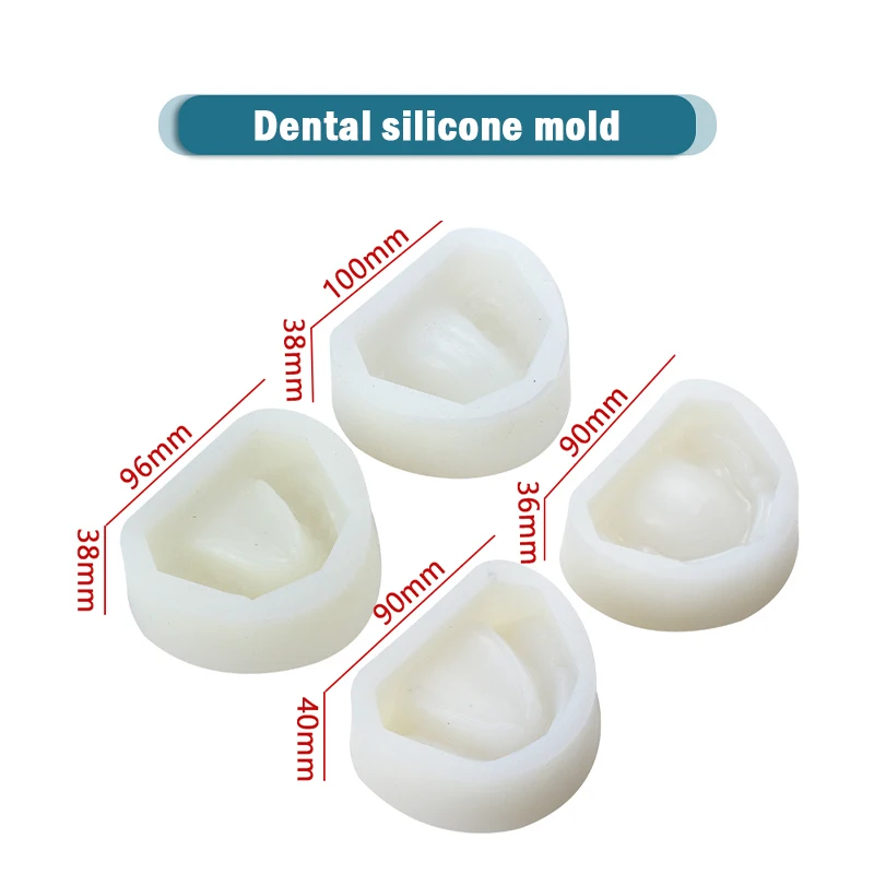 Dental Mold Mould Of Edentulous Jaw Complete Cavity Block With Teeth ...
