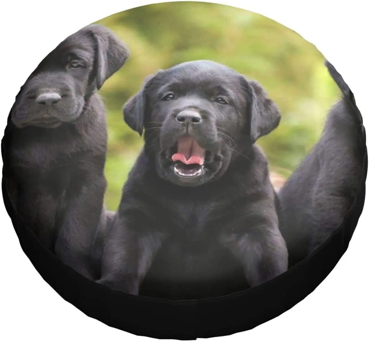 Are Labrador Retrievers Good Protectors