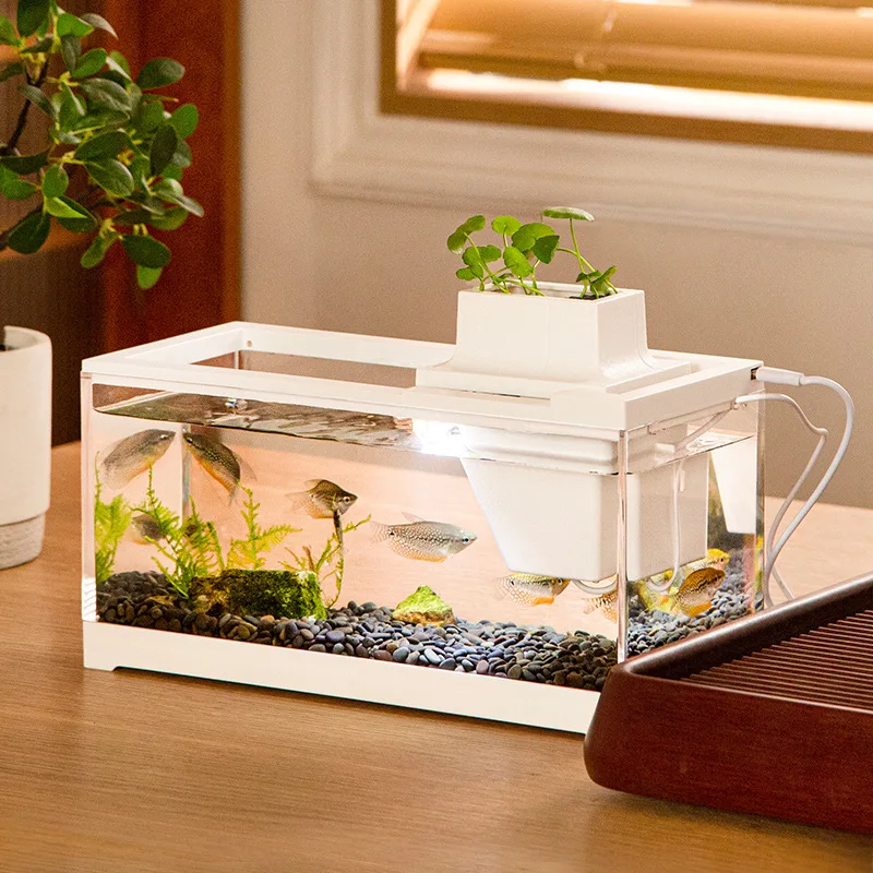 Tropical-Fish-Tank-Small-Tabletop-Fish-Tank-Guppy-Lamp-Fish-Shrimp ...