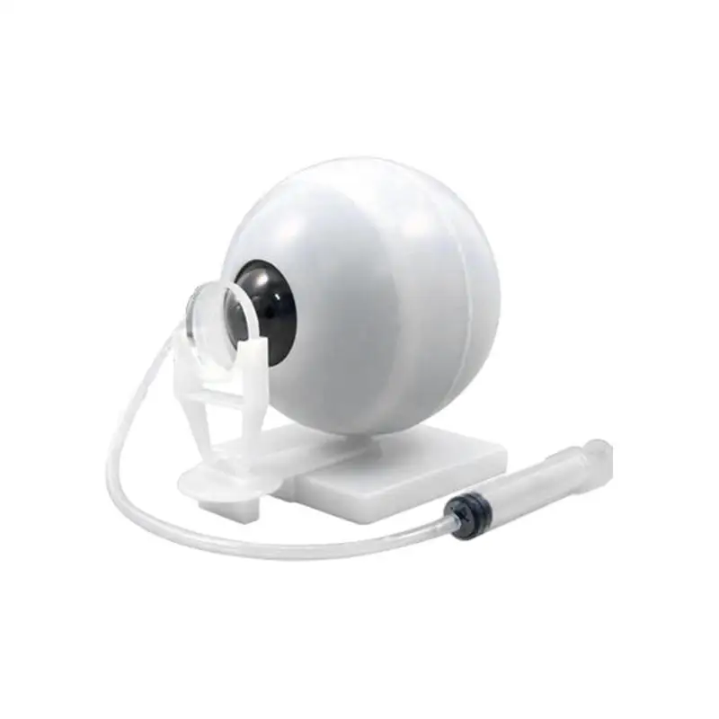 Kids-Anatomy-Toys-Body-Anatomy-Model-Human-Brain-Model-For-Kids-Human ...