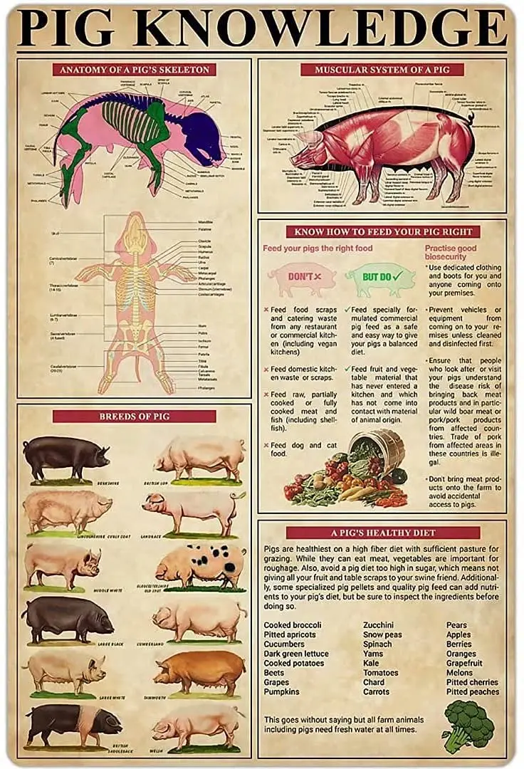 Knowledgemetal-Anatomy-Hunter-Wall-Decor.jpg