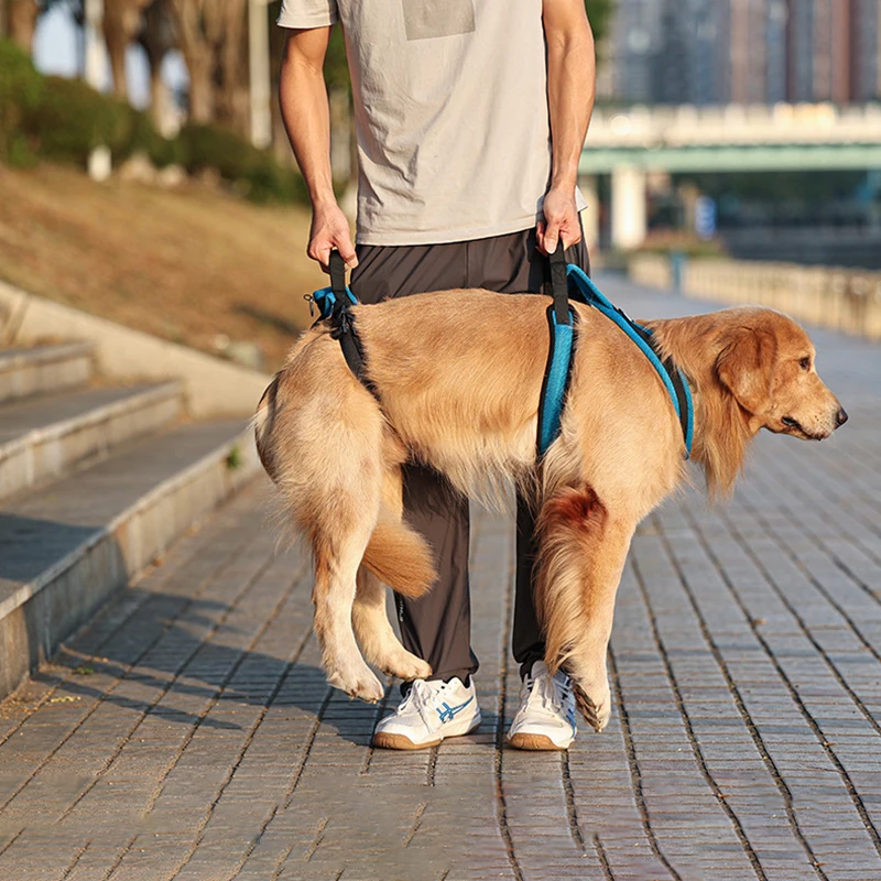 Dog Lift Harness Pet Recovery Belt Front and Rear Legs Support Disabled ...