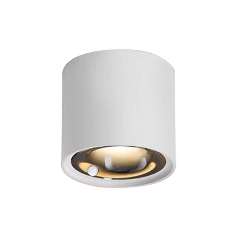 Human-Body-Induction-Spotlight-Ceiling-Sensor-Light-Lamp-Room-Surface ...