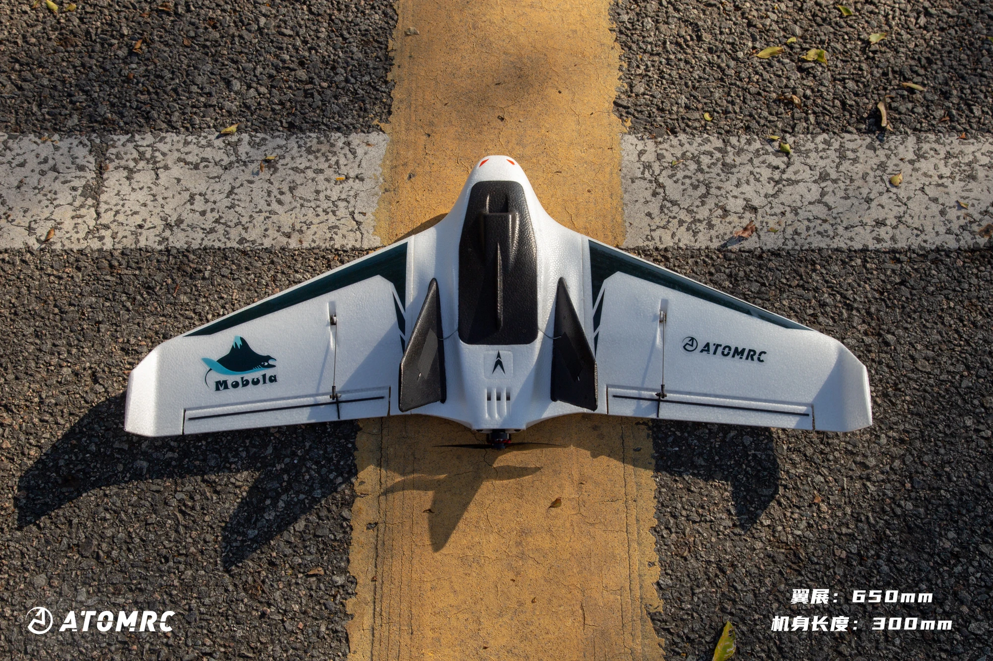 Commercial Delta Wing Aircraft