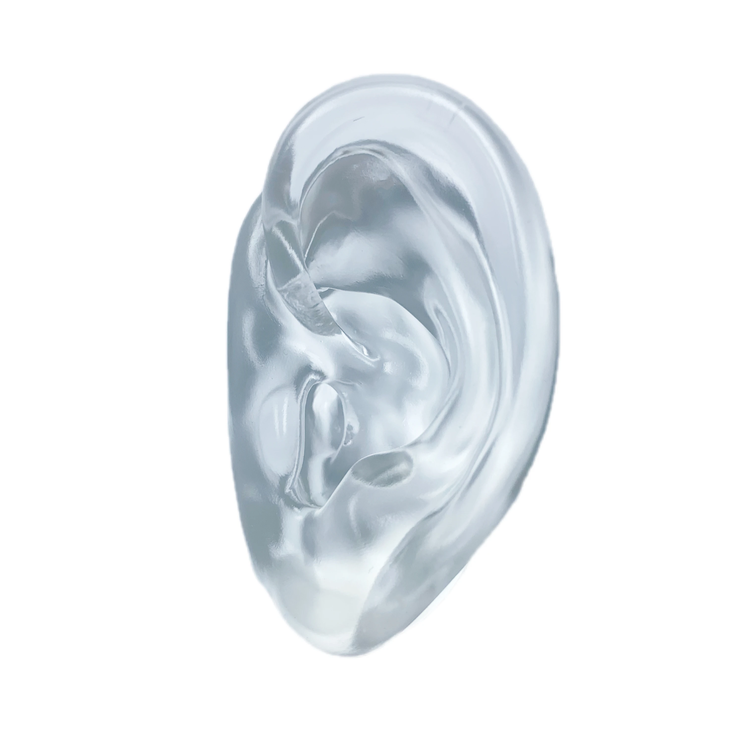 Transparent-Silicone-ear-model-Earring-display-stand-Puncture-practice ...