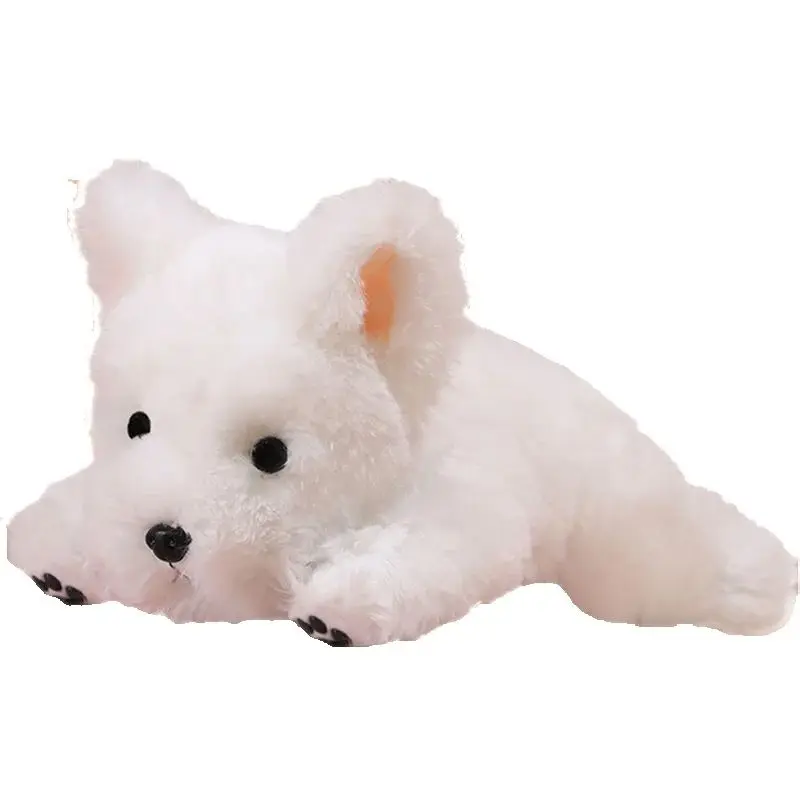 Everything You Need to Know About Small White Fluffy Dogs