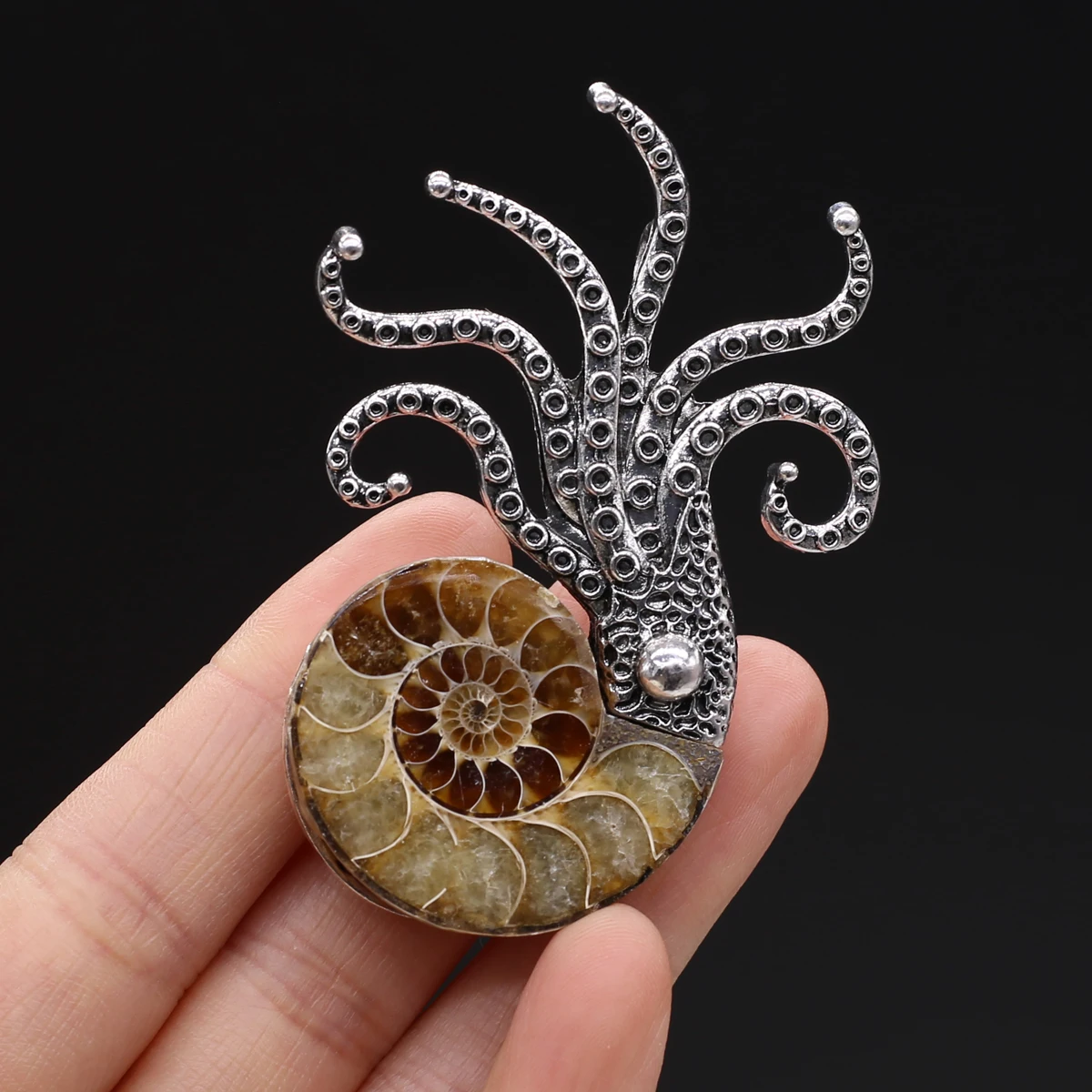Fine Natural Shell Nautilus Brooches Conch Alloy Pins for Girls' Party ...