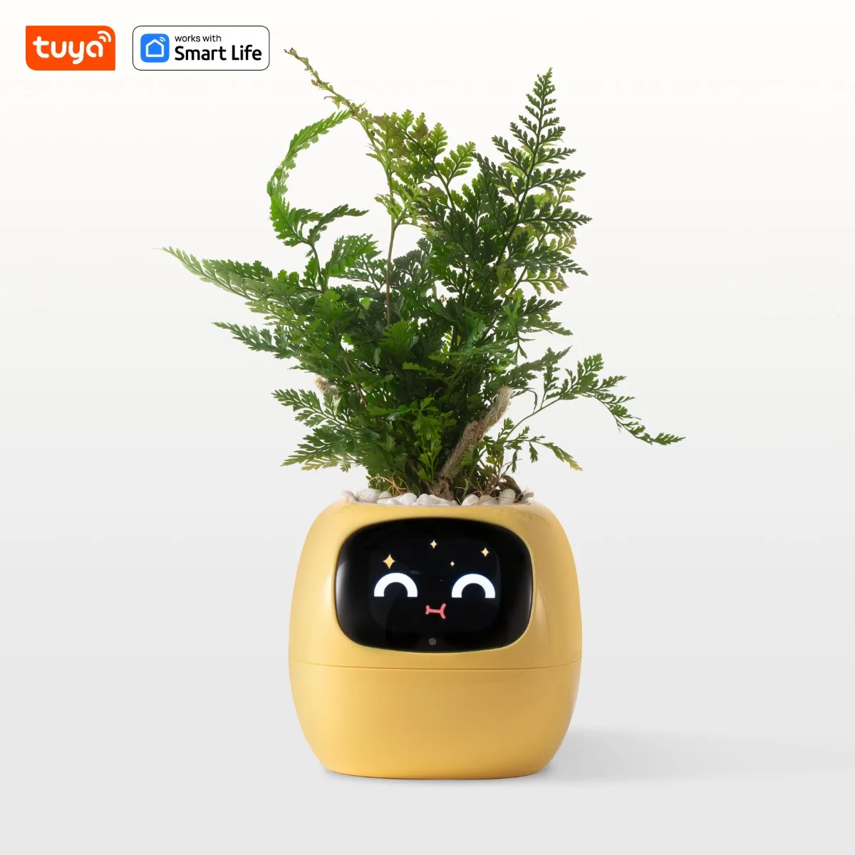 Yellow-Tuya-Ivy-Smart-Planter-Endless-Fun-Over-49-Rich-Expressions-7 ...
