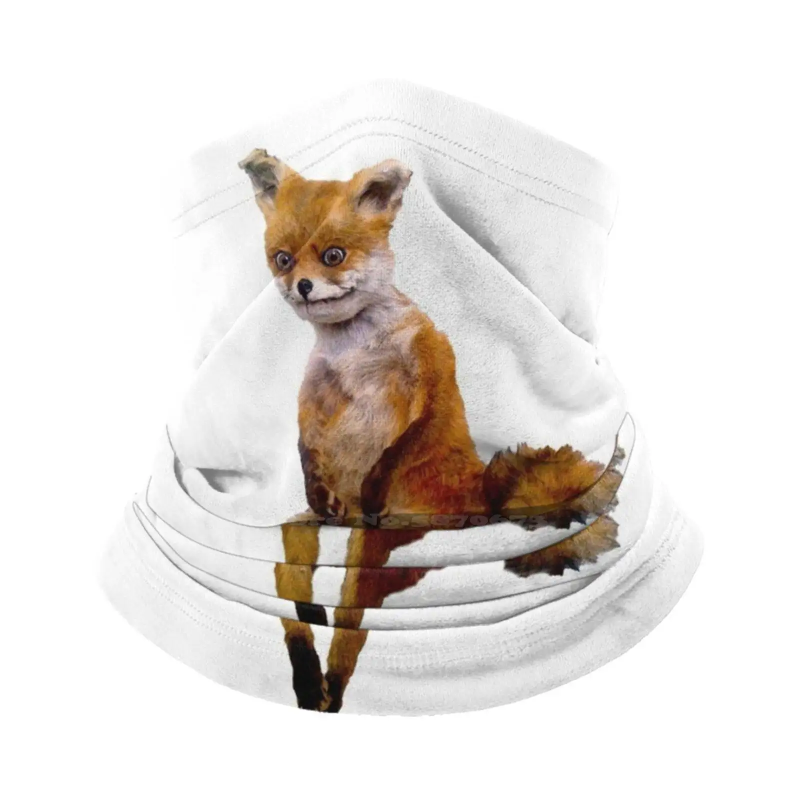 Stoned Fox Images