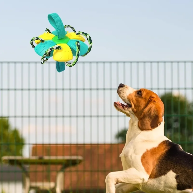 Border-Collie-Balls-Interactive-Pet-Accessories-Inflatable-Soccer ...