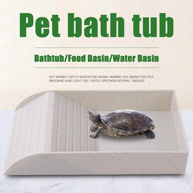 Pet Turtle Bowl