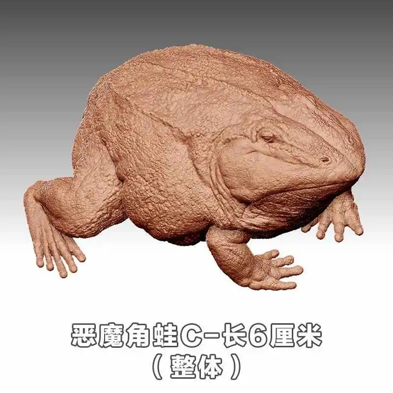 Giant Prehistoric Frogs