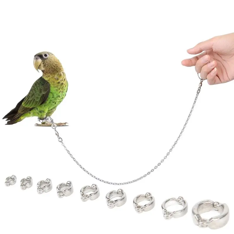 50cm-Bord-Stainless-Steel-Chain-Parrot-Anti-flying-Traction-Rope-Bird ...