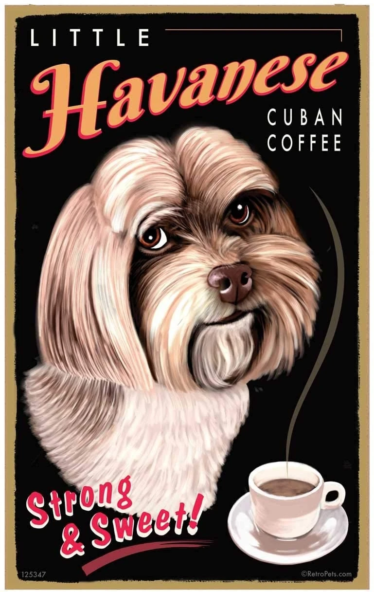 Retro Pets Little Havanese Cuban Coffee, Havanese Art 10 x 16 inch ...