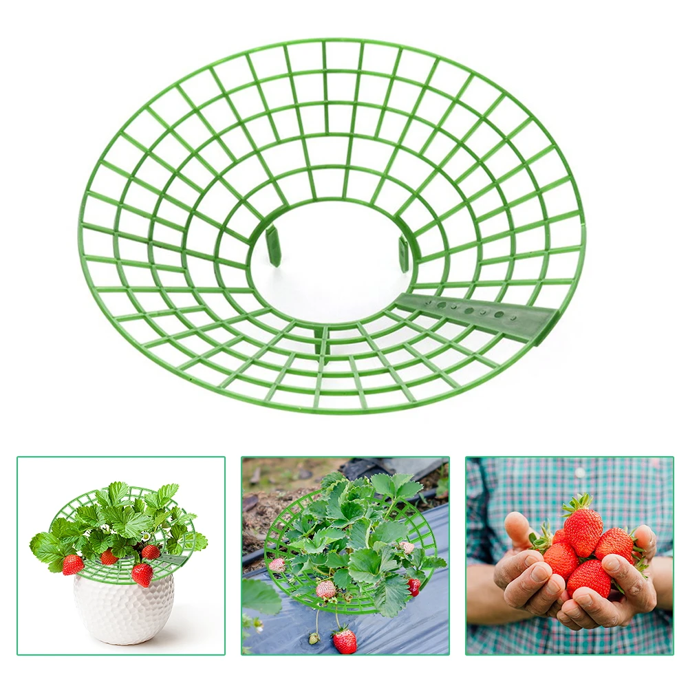 Strawberry Stand Frame Holder Balcony Planting Rack Fruit Support Plant ...
