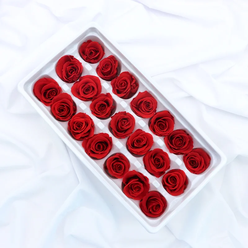 21pcs/box2-3cm,b-grade Mini Permanent Preservation Rose Heads,beauty ...