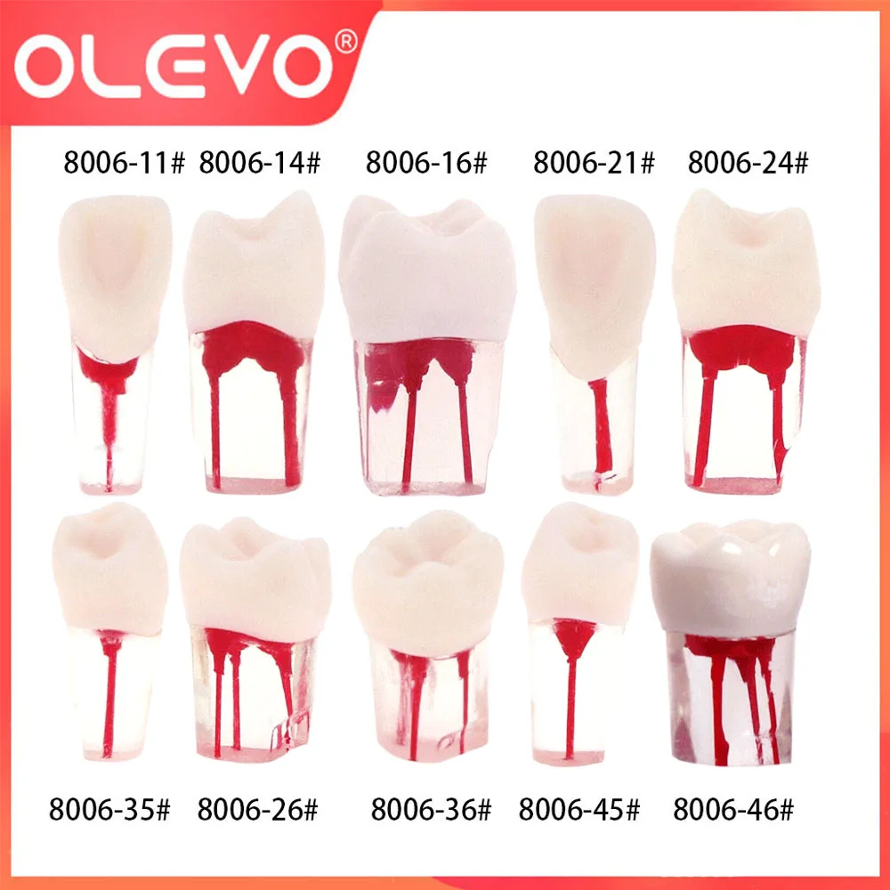 OLEVO-Dental-Teeth-Endo-Root-Canal-Pulp-Files-Practice-Endodontic ...