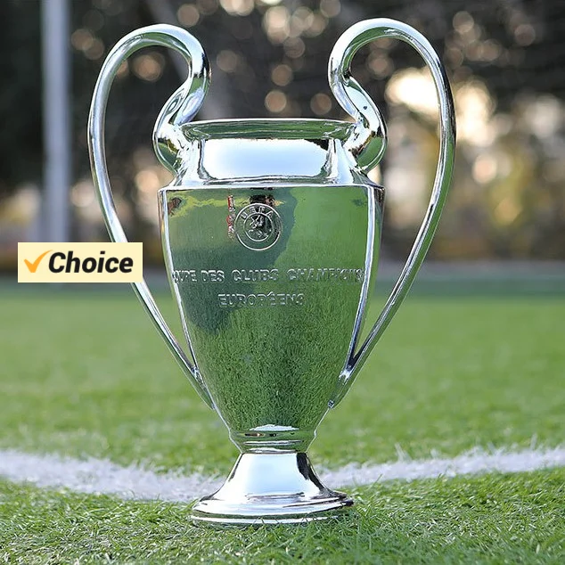 Trofeo-de-f-tbol-de-la-Copa-Europea-de-Campeones-regalo-de-vacaciones ...