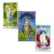 Soul Truth Self-Awareness Oracle Card Deck Daily Questions That Will ...