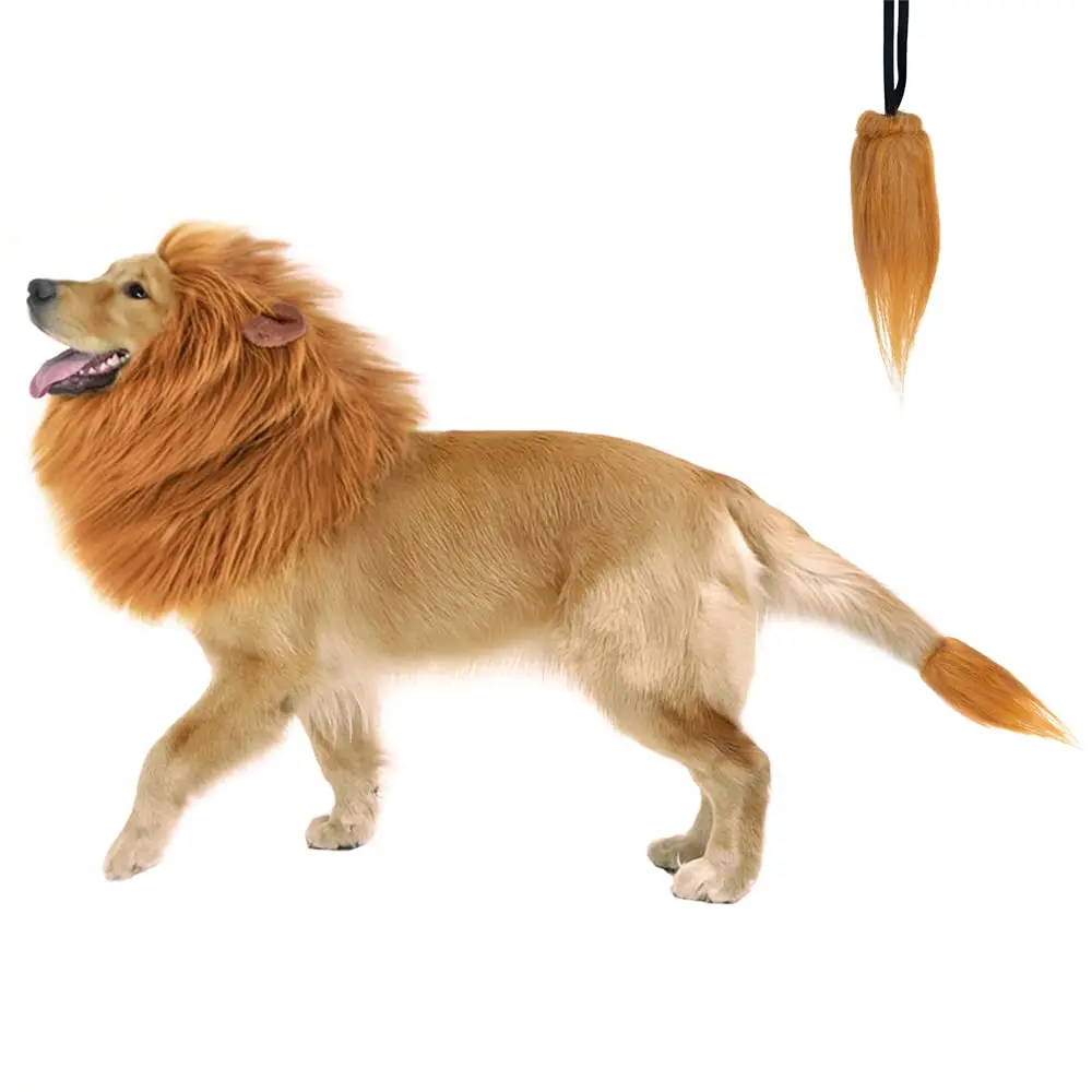Lion Costumes For Dogs