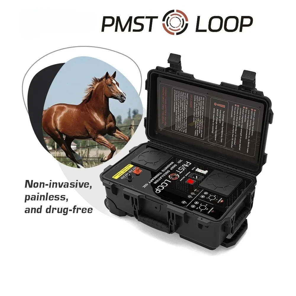 Horses-PEMF-Pulse-Electromagnetic-Therapy-PMST-Machine-with-Single-and ...
