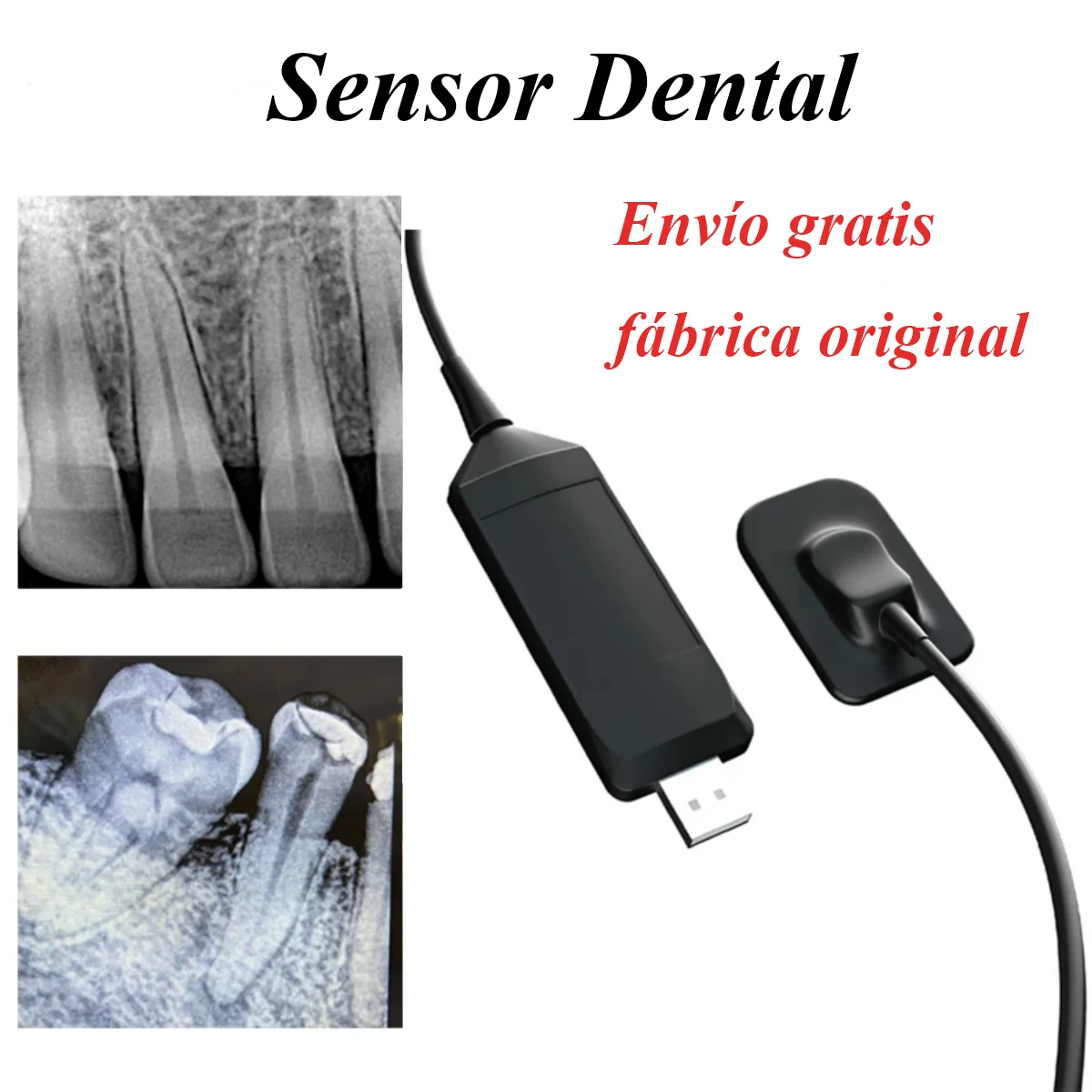 Sensor Digital Dental fábrica Original Rayos Dynimage CMOS RVG Xray ...