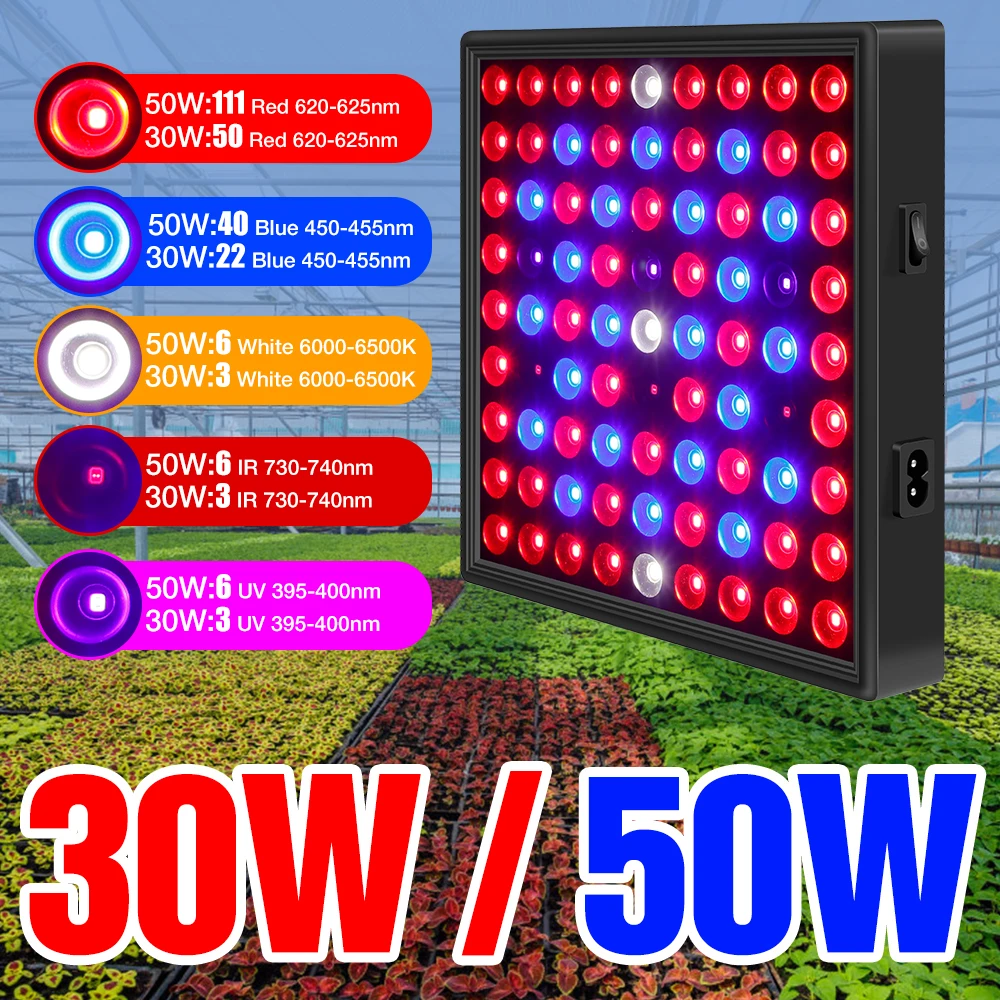 Sbc90e111d8cc4351adaea97b60b0a5f2J.jpg