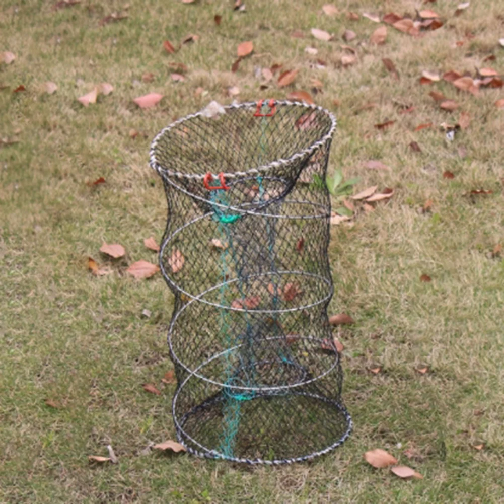 Lobster Hoop Net: The Ultimate Guide to Choosing, Using, and Maximizing ...